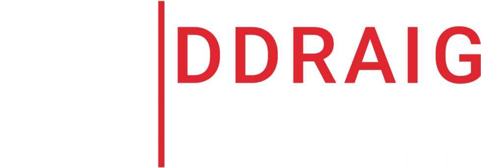 Dragon Signs Of North Wales | Crafting Signs with Fire and Flair